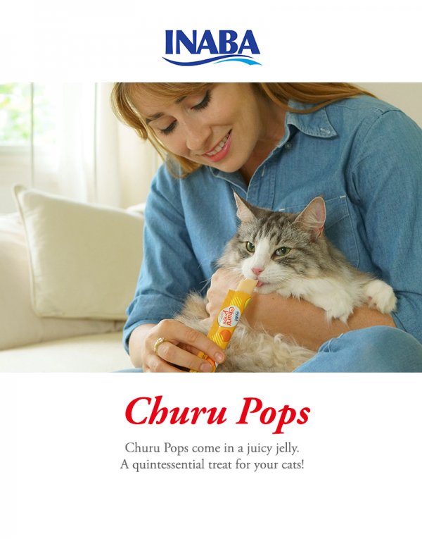 Churu Pops Chicken - Velocity International