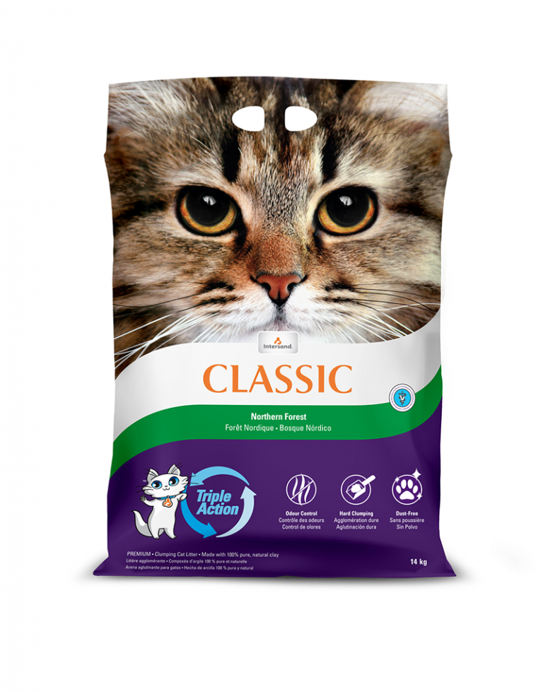 Intersand - Velocity International