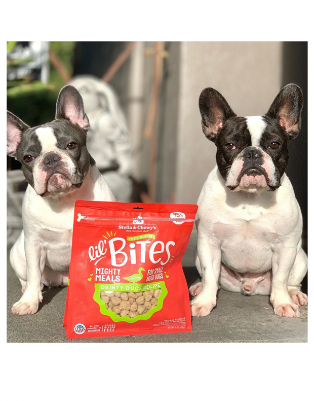 Dainty Duck Lil’ Bites - Velocity International