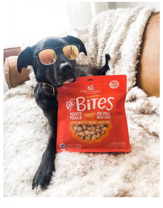 Itty Bitty Beef Lil’ Bites - Velocity International