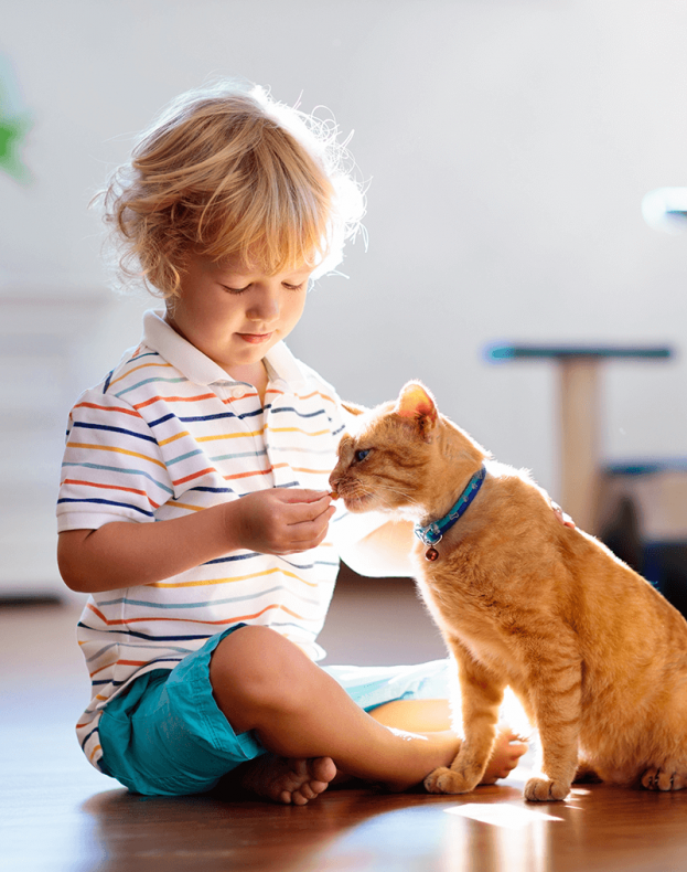 Inaba Foods - Velocity International