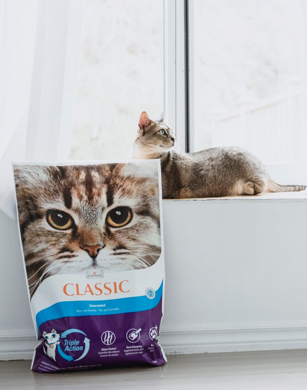 Intersand - Velocity International