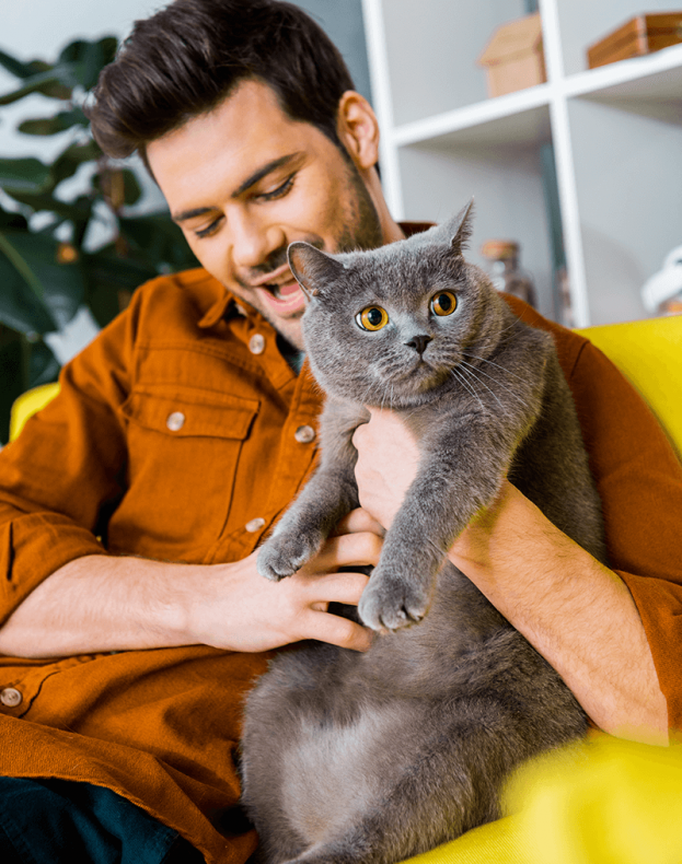 Inaba Foods - Velocity International