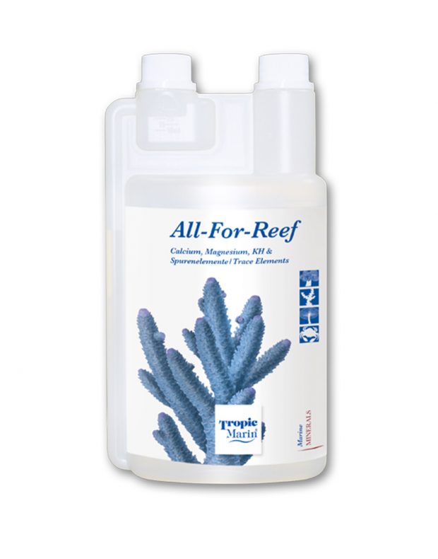 All For Reef - Velocity International