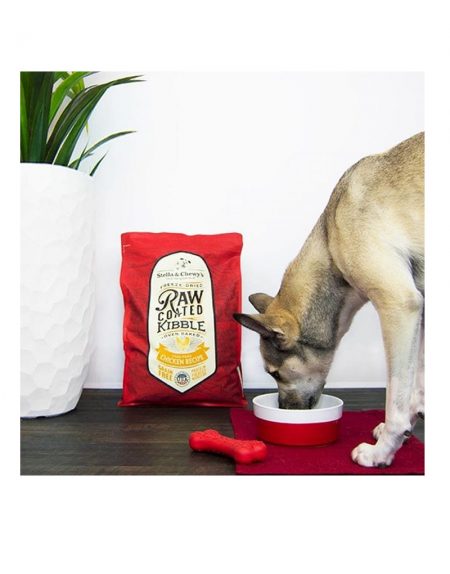 Cage-free Chicken Raw Coated Kibble - Velocity International